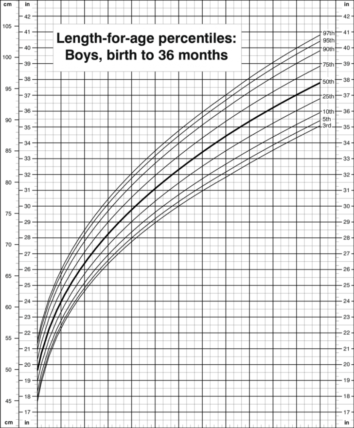 Medium Size Of Chart Ideas - Growth Chart Boys (728x880), Png Download