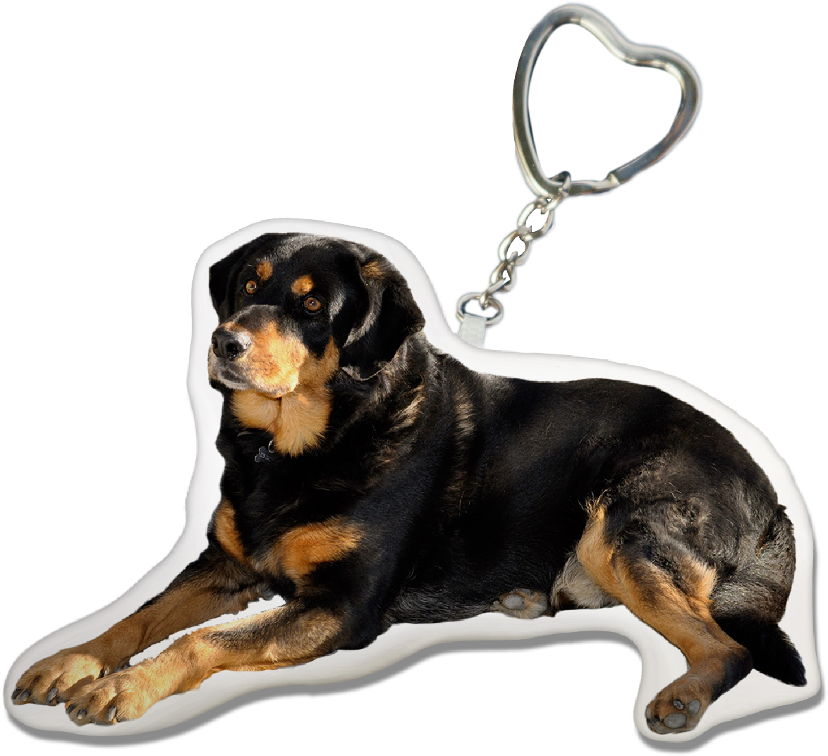 Download Rottweiler | Transparent PNG Download | SeekPNG