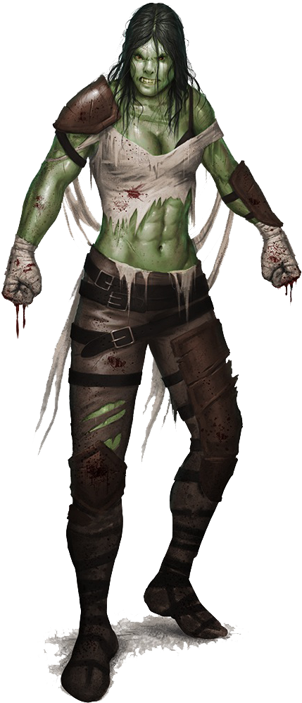 Half-orc Monk - Pathfinder Female Half Orc (451x1000), Png Download