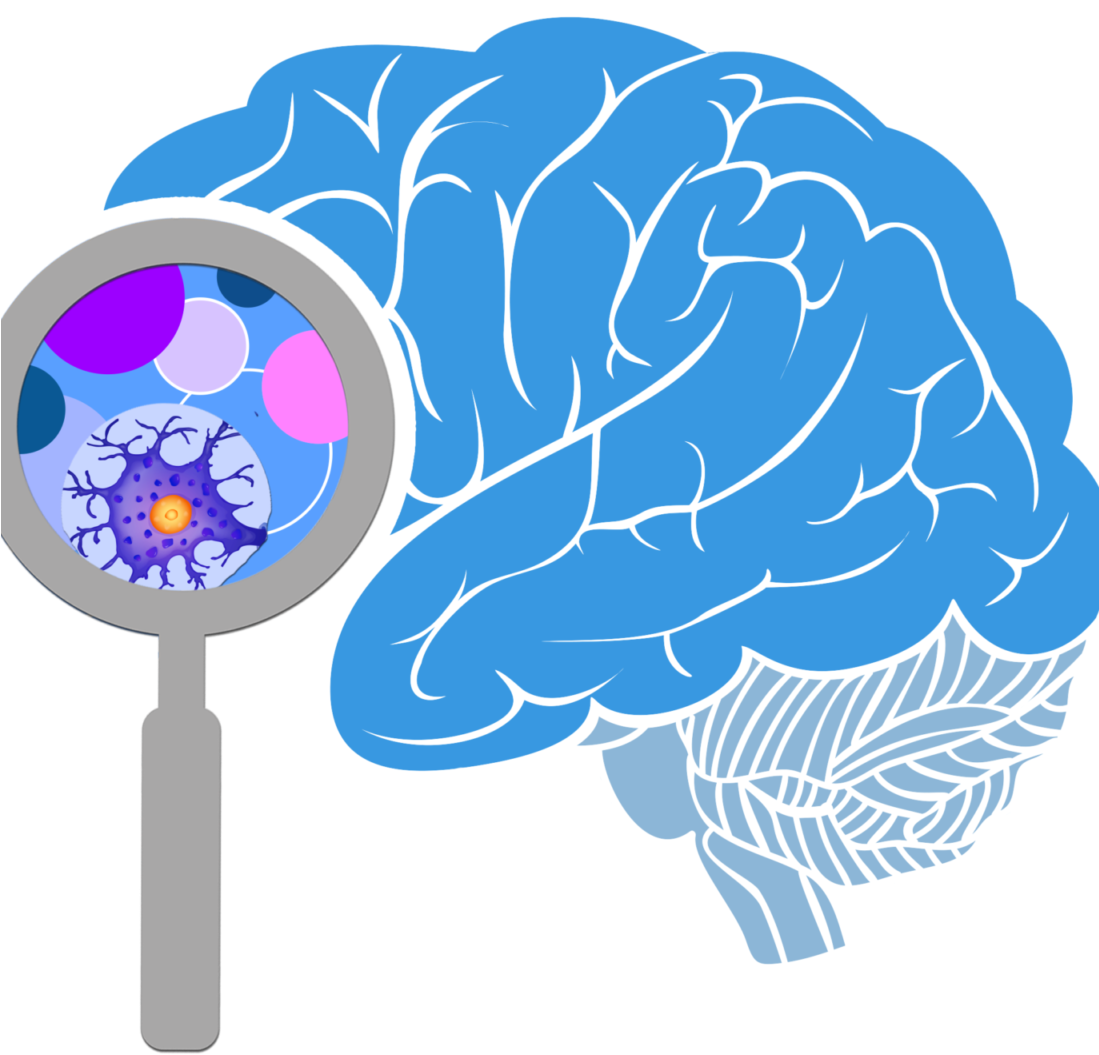 Brain Vector Png - Png Transparent Brain Png (1098x1097), Png Download