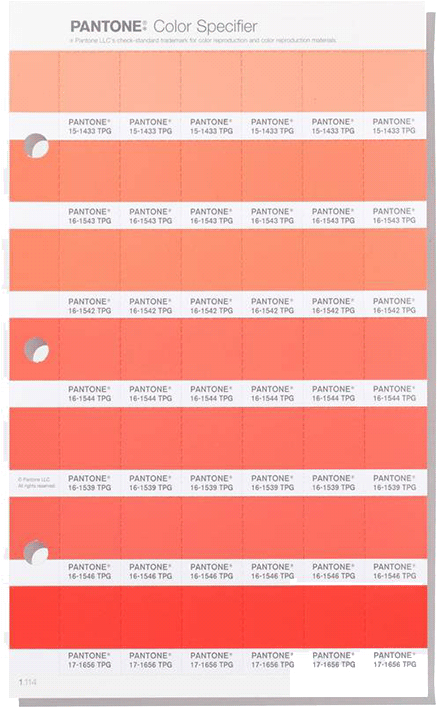 Download Pantone 16-1546 Living Coral Is The Colour Of The Year - Year ...
