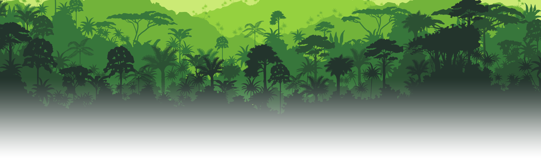 Download Free Tropical Forest Vector | Transparent PNG Download | SeekPNG