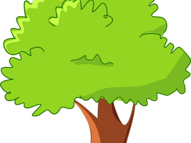 Tree Cartoon Png - Tree Clipart With Transparent Background (640x480 ...