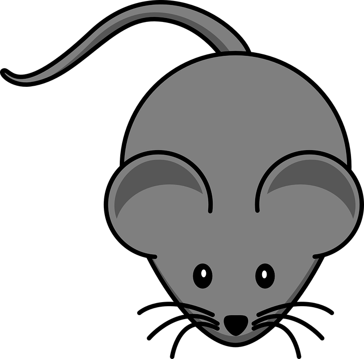Cute Lab Mice Edition - C57bl 6 Mice Cartoon (729x720), Png Download