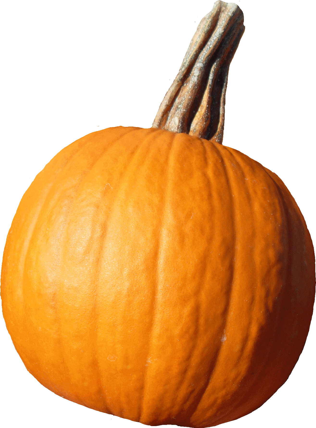 Poi Pumpkin 10 (2592x1944), Png Download