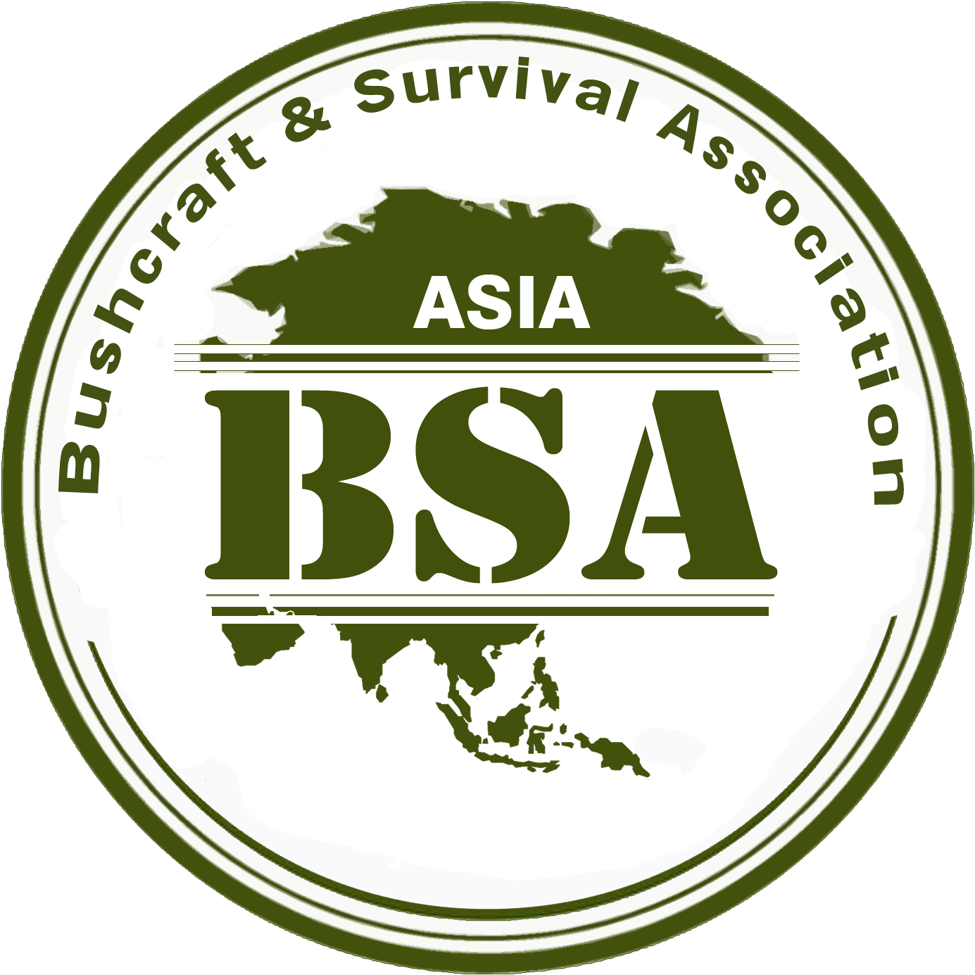 Bsa Logo Cropped - Circle (1566x1553), Png Download