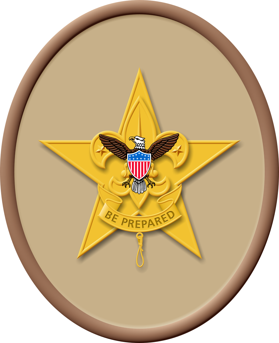 Cub Scout Pack - First Class Scout Badge (975x1200), Png Download