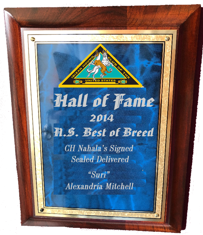 Awards Hof Plaque (700x791), Png Download
