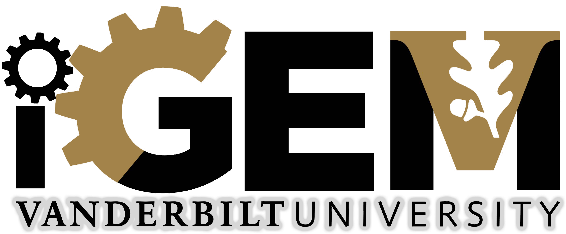 Download Vanderbilt Logo Png - Vanderbilt University | Transparent PNG ...