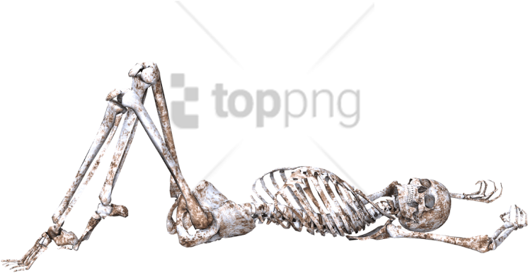 Free Png Download Skeleton Lying On Back Png Images - Skeleton Lying ...