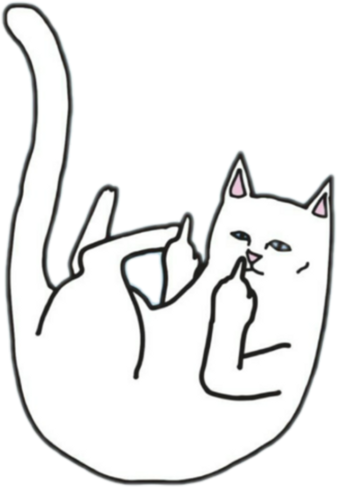 #cat #rude #finger #attitude - Tシャツ A (1024x1190), Png Download