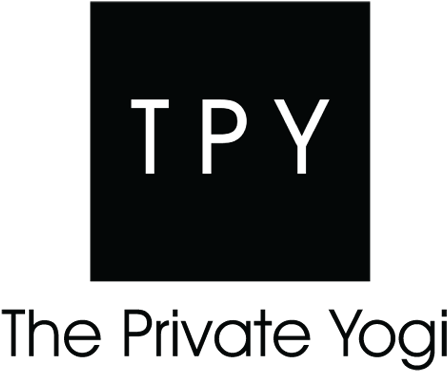 Download Tpy-logo - Parallel | Transparent PNG Download | SeekPNG