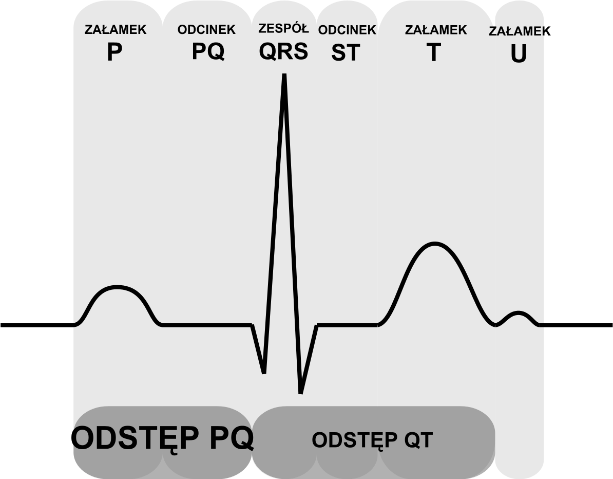 Download Svg Qt | Transparent PNG Download | SeekPNG