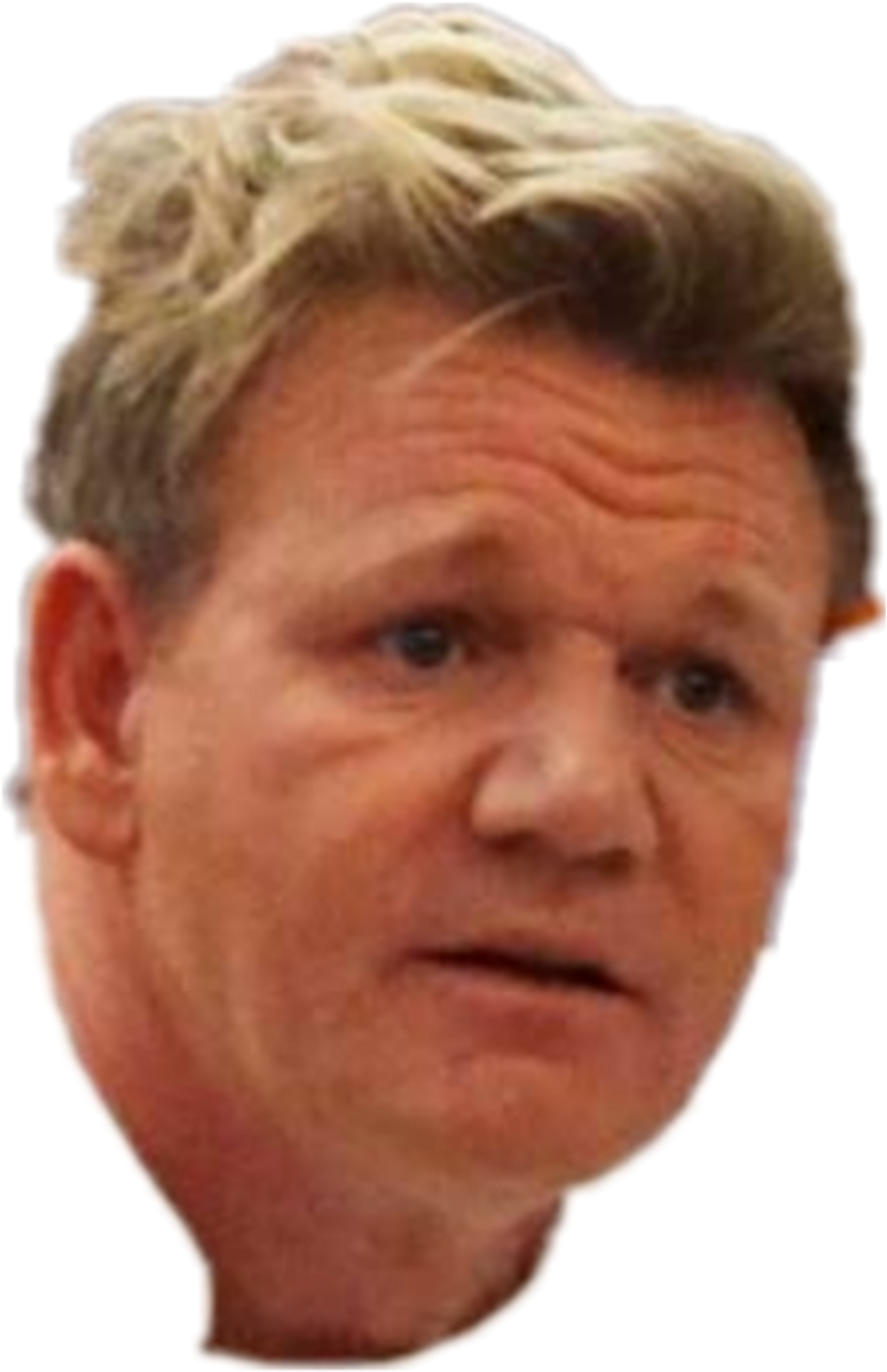 Gordonramsay Sticker - Gordon Ramsay (1024x1515), Png Download