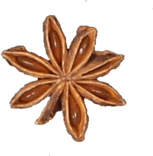 Star Anise - Illustration (640x546), Png Download