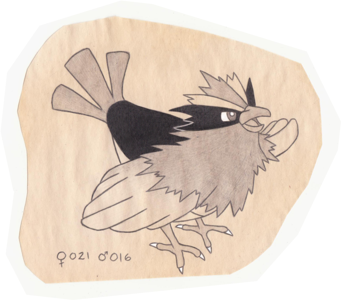 Tiny Bird Pokemon - Illustration (1280x1255), Png Download