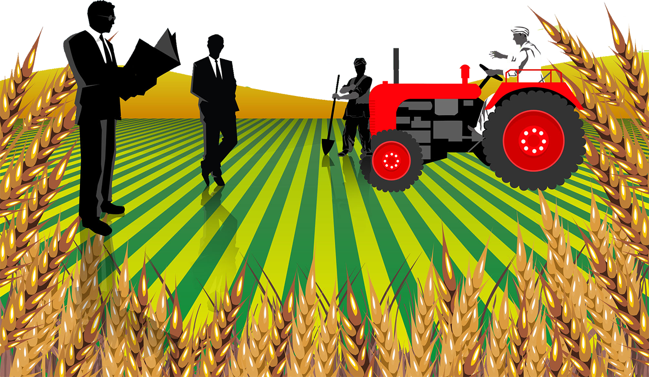 Download 1339 X 778 4 - India Farmer Agriculture Vector | Transparent ...