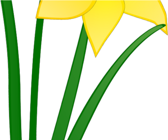 Clip Art Library Library Daffodil Clipart Spring Break - Daffodil Clip ...