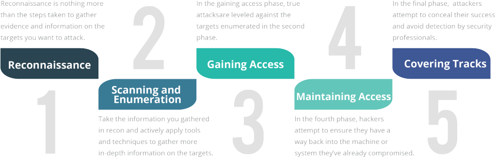 5 Phases Of Hacking - Ethical Hacking 5 Steps (1024x340), Png Download