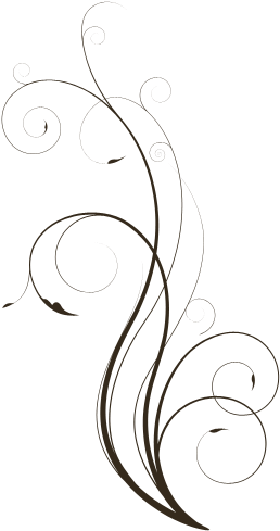 Download Flourish Png | Transparent PNG Download | SeekPNG