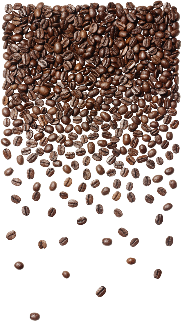 Png Coffee Beans Falling (720x1200), Png Download