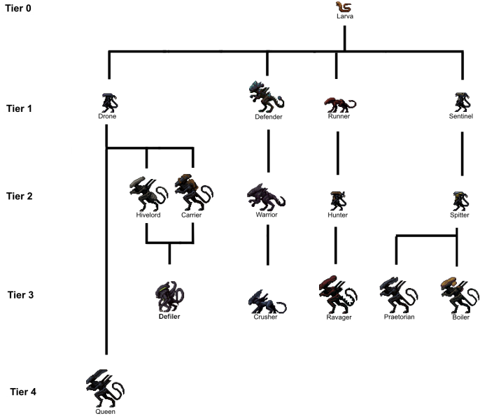 Download Xenomorph Evolution Diagram - Diagram | Transparent PNG ...