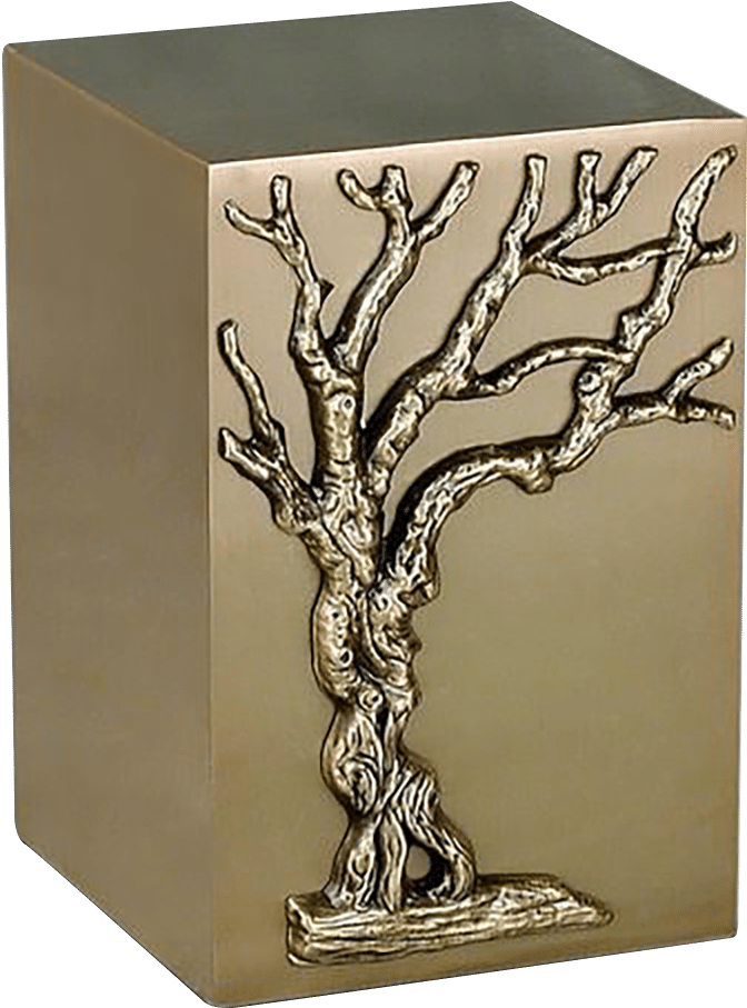 Tree (1000x1000), Png Download