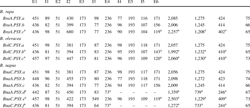 Brassica Psy Gene Sequence Analysis Psy Gene Structure - Nothofagus ...