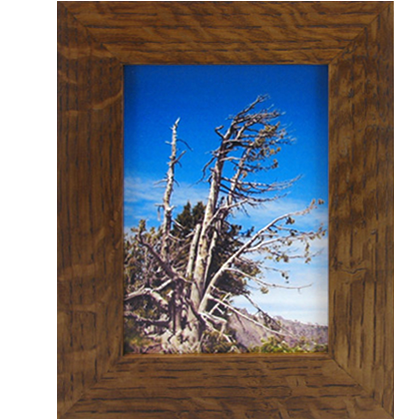 Basic Picture Frame Wood (450x450), Png Download