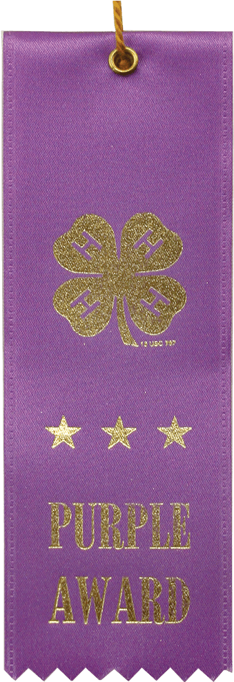 Purple Award Ribbon (1027x1027), Png Download