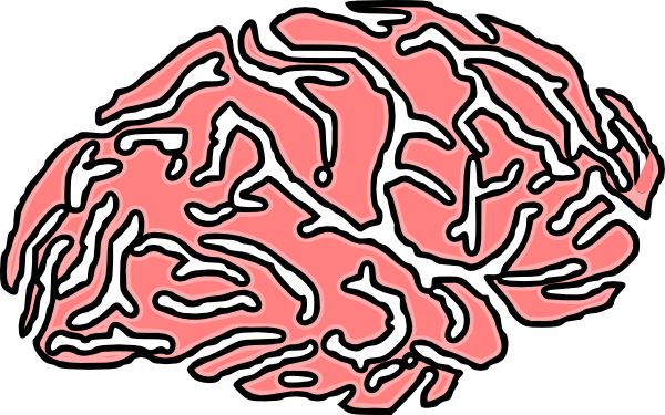 Brain Colored Svg Clip Arts 600 X 375 Px (600x375), Png Download
