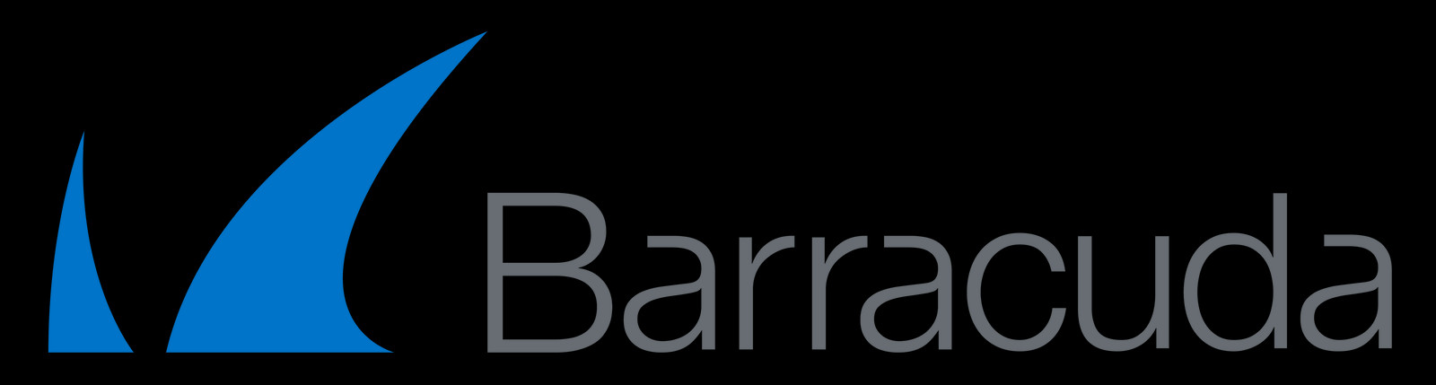 2013 Barracuda Logo Hires - Barracuda (1600x429), Png Download