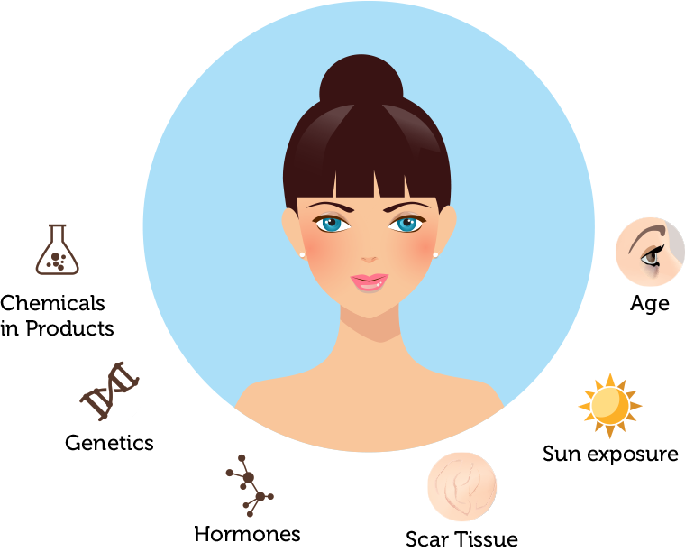 Transparent Skin Causes (760x612), Png Download