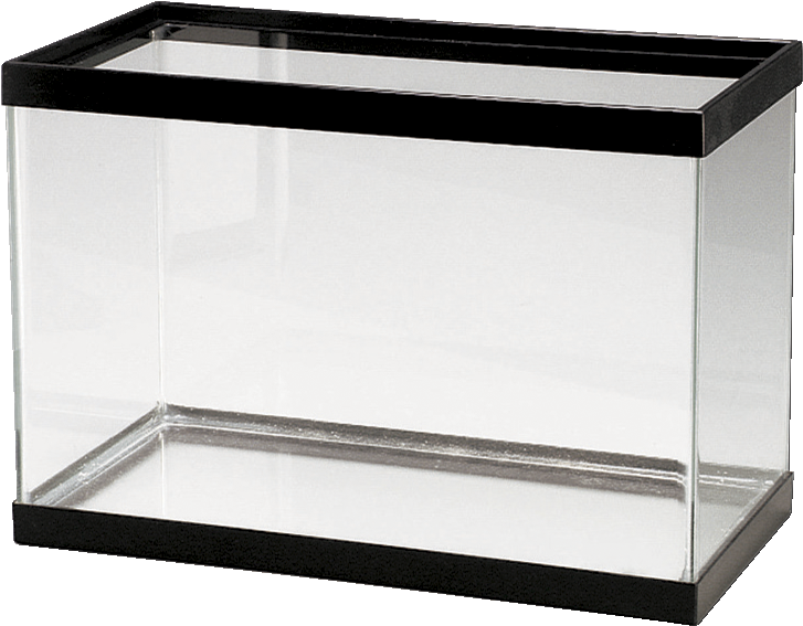Download Perfecto All Glass Aquarium Tank - 24 X 12 X 20 Aquarium ...