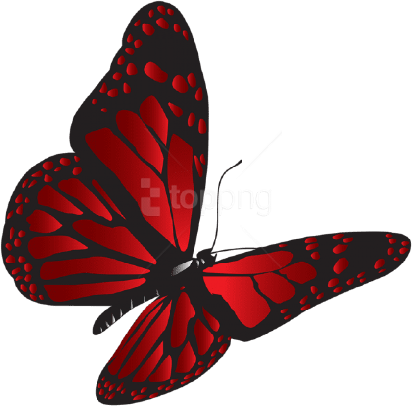 Download Red Butterfly Png Clipart Png Photo - Red Butterfly ...