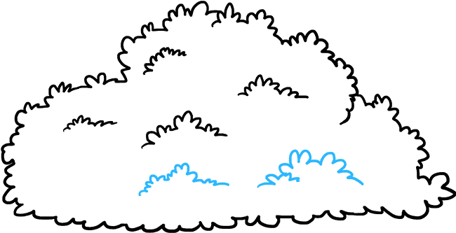 Download How To Draw Bush - Easy To Draw Bush | Transparent PNG ...
