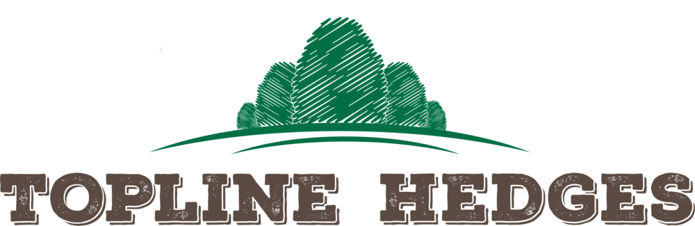 Hedges Png (1000x325), Png Download