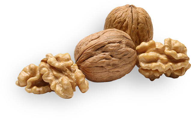 Walnuts Png Picture - Walnuts Transparent Background (636x400), Png ...