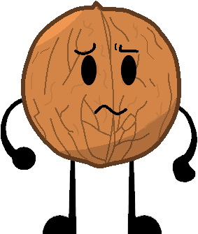 Walnut - Bfdi Nut (324x379), Png Download