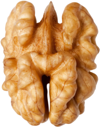 Download Walnuts Transparent Png - Food Items Look Like Body Parts ...