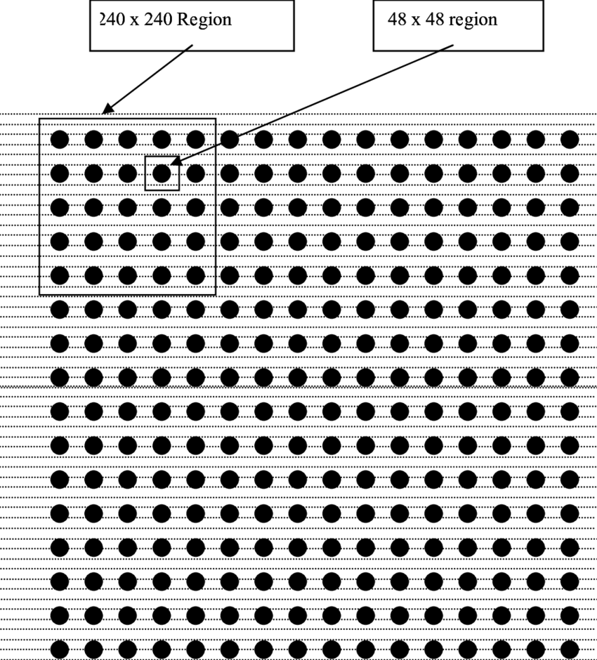 Download Shown Is A Schematic Of The Dot Targets And The Scan - Hidden ...