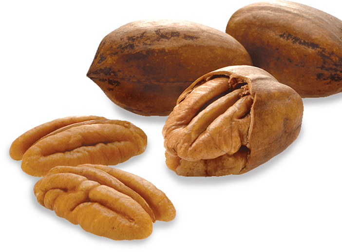 Nut Experts - Pecan Png (702x517), Png Download