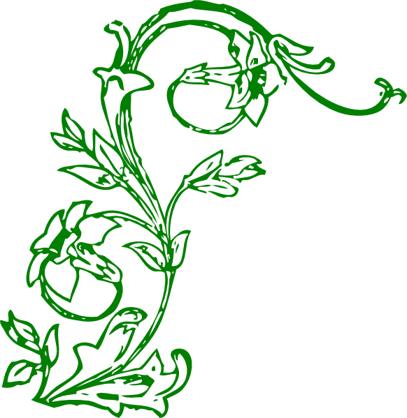Flower Vine Line Art (582x599), Png Download
