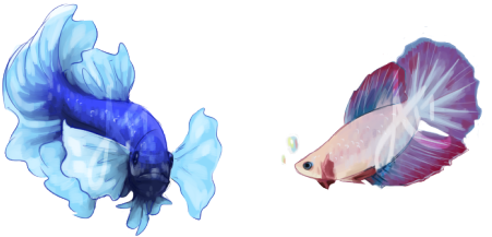 Banner Black And White Library Fish Art Tumblr Commissions - Cute Beta ...