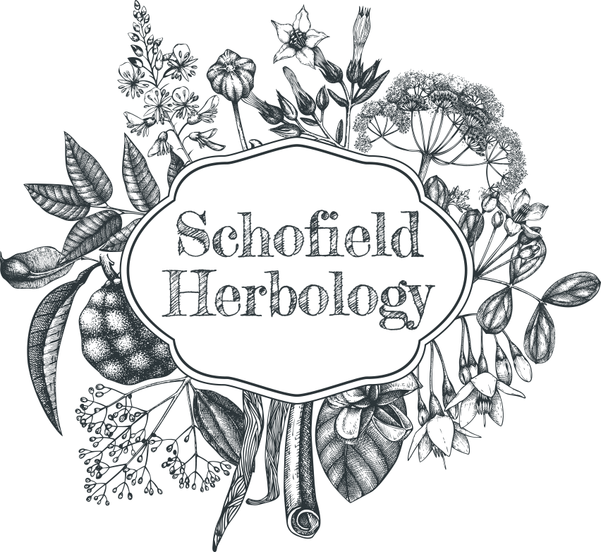 Jen Logo Grapy Format=1500w (852x782), Png Download