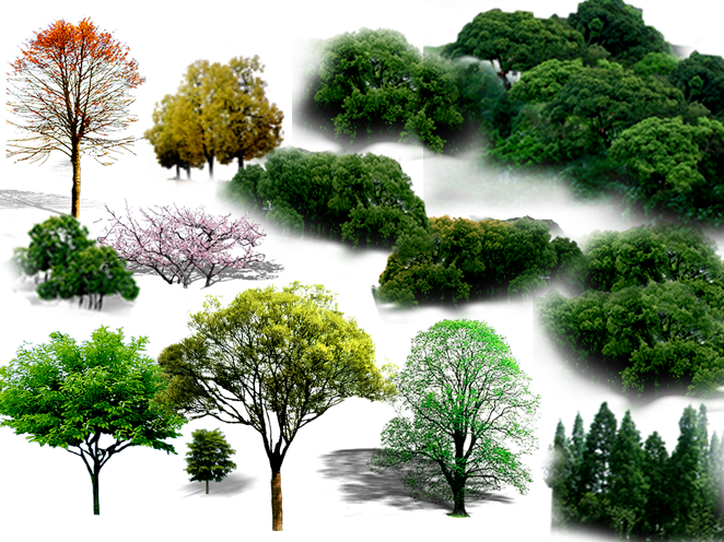 Tree Png File Hd - Trees Landscape Psd (662x496), Png Download