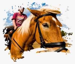 Overnight Excursions - Log House PNG Image | Transparent PNG Free ...