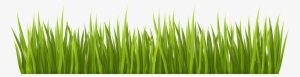 Grass Overlay Png Clipart Library Download - Cartoon Grass Transparent ...
