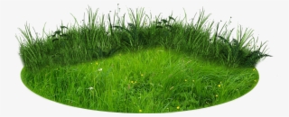 Download Png Imges Free - Grass Effect Png PNG Image | Transparent PNG ...