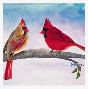 Madaras Gallery PNG Image | Transparent PNG Free Download on SeekPNG